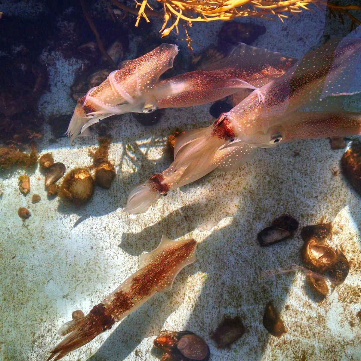 Block Island Maritime Institute | Block Island, RI 02807