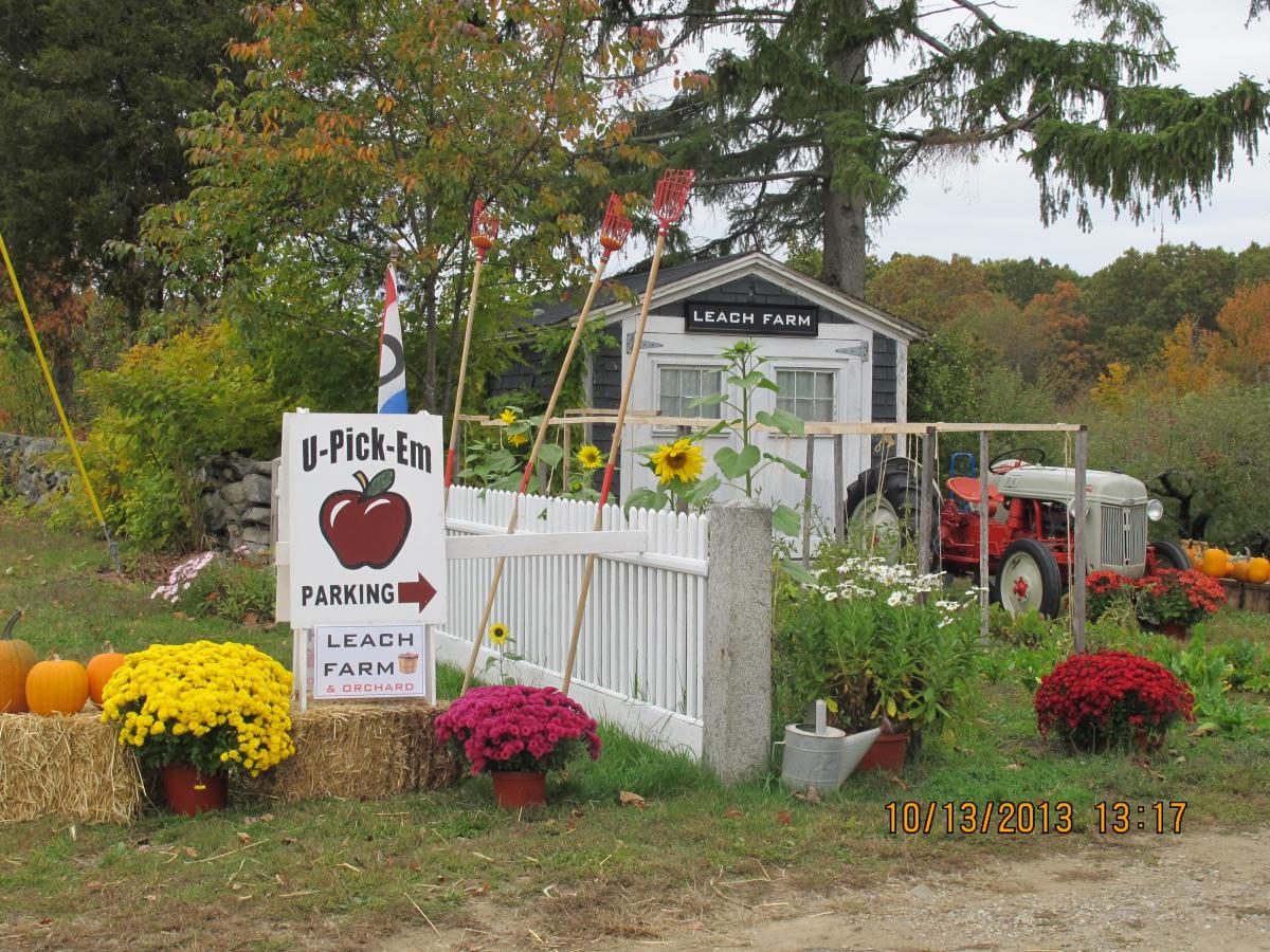 Leach Farm and Orchard | Greenville , RI 02828