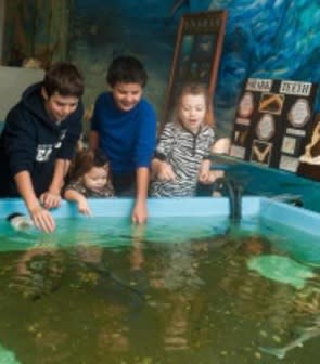 BIOMES Marine Biology Center | North Kingstown, RI 02852