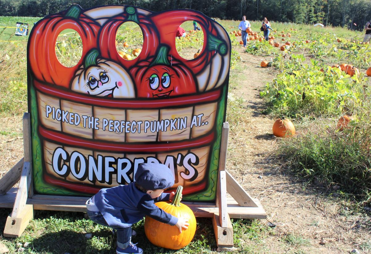 Confreda Greenhouses and Farms | Hope, RI 02831