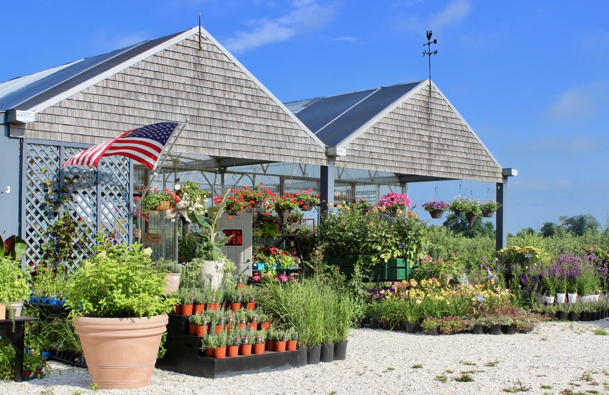 Young Family Farm | Little Compton, RI 02837