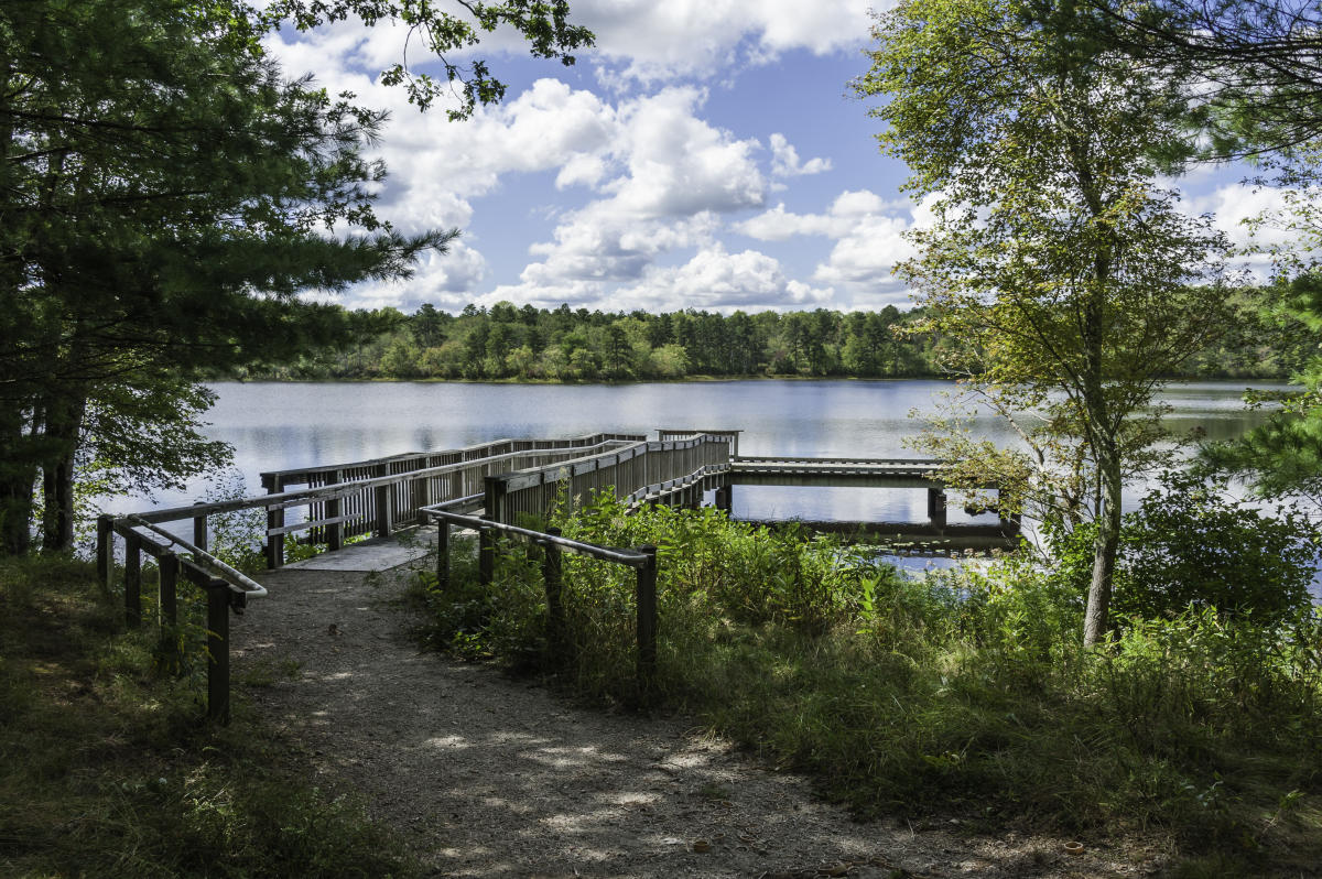 Nicholas Farm Management Area | Coventry, RI 02835