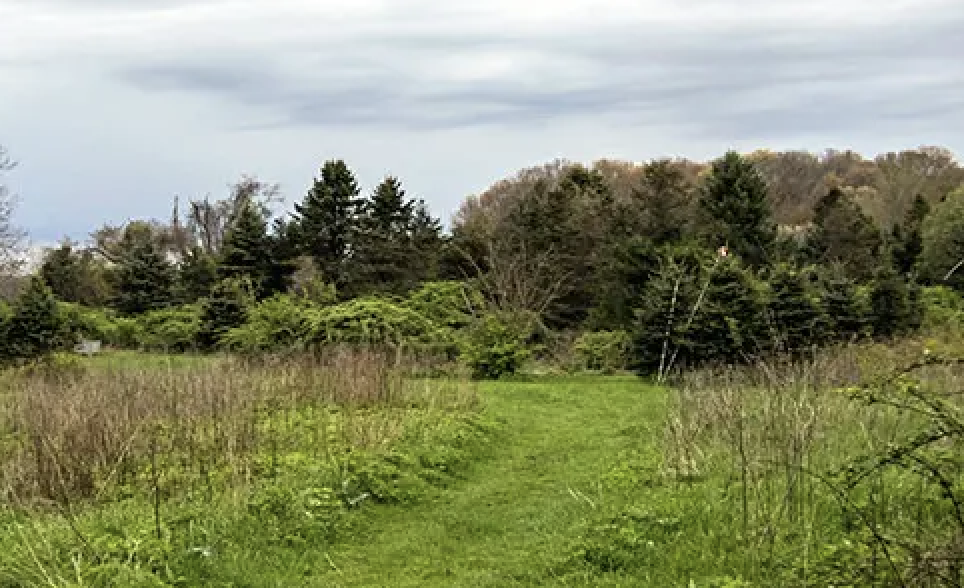 Spruce Acres Farm | Middletown, RI 02842