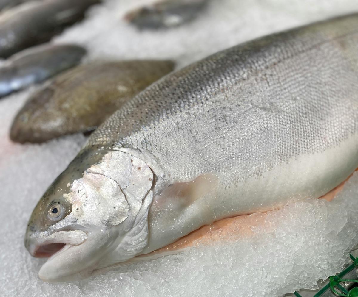 Shoreline Seafood Market
