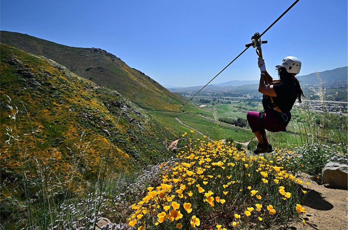 Skull Canyon Ziplines