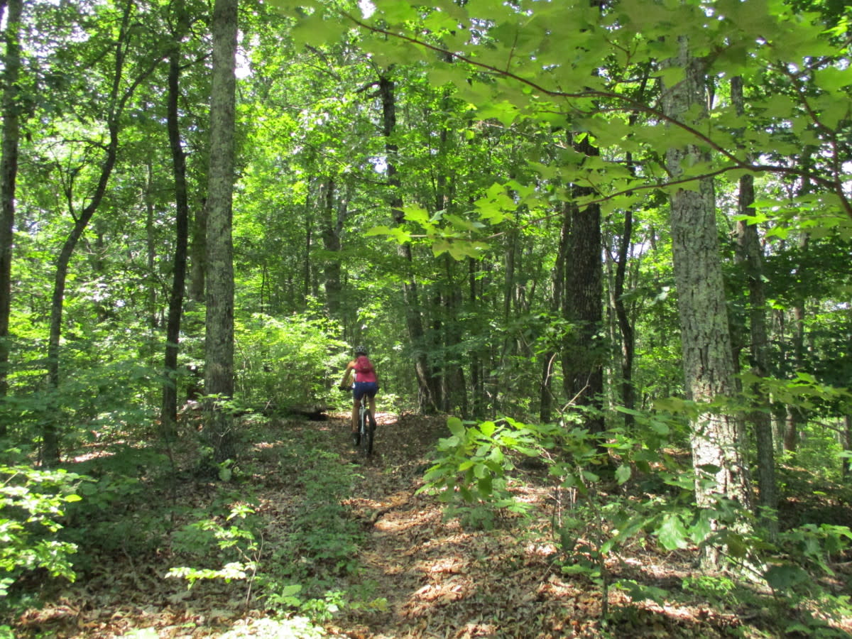 Arcadia | Buchanan, VA 24066