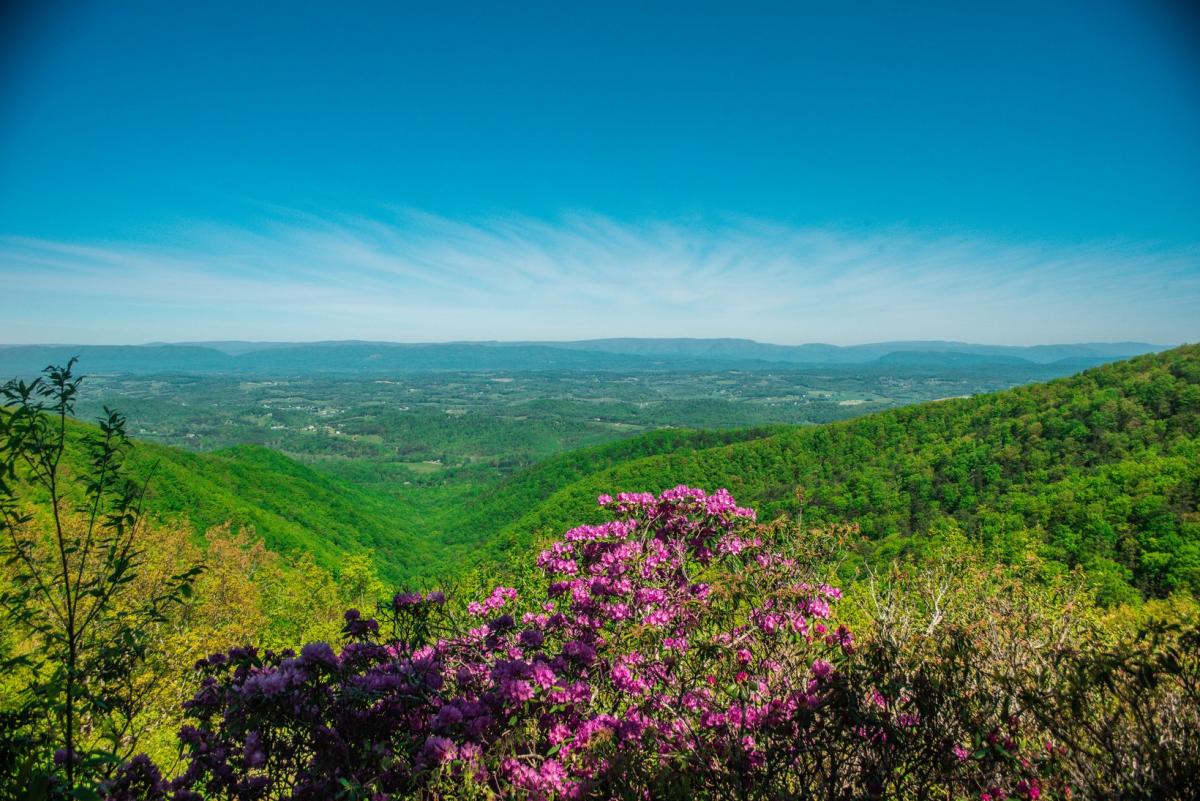 Blue Ridge Parkway - Views | Virginia's Blue Ridge Region, VA