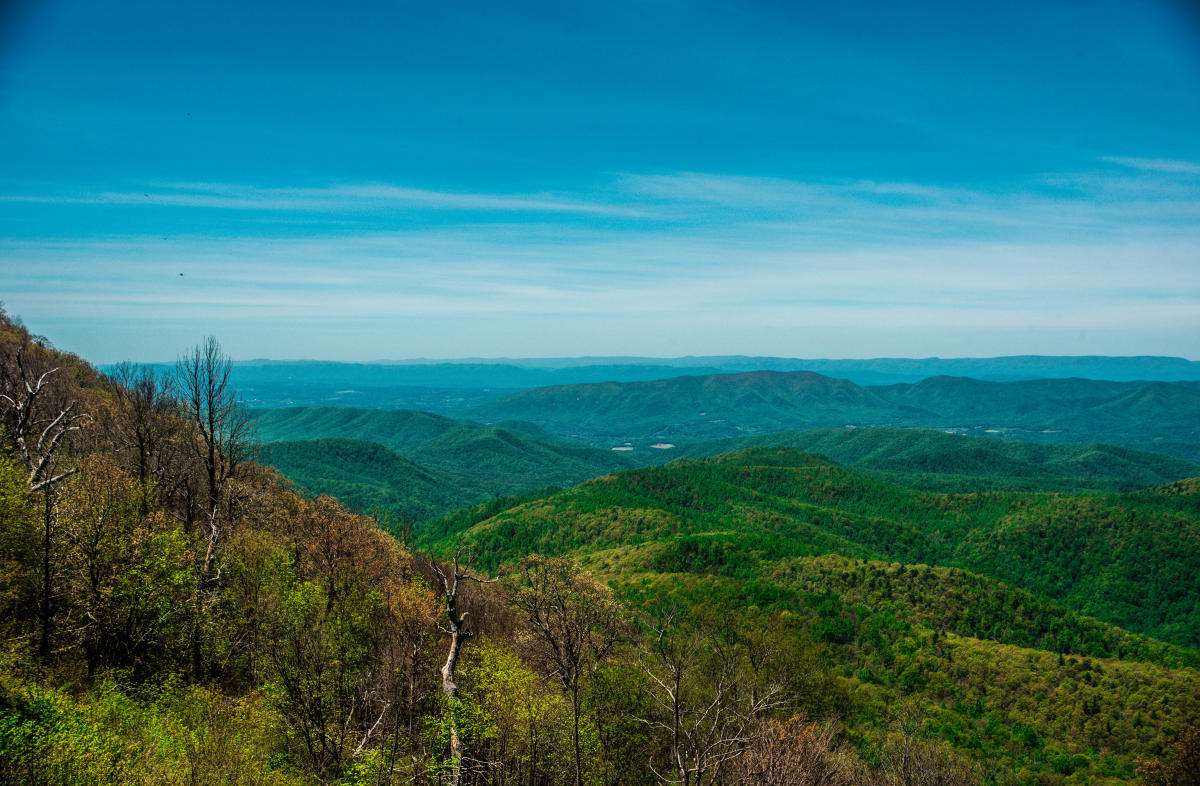 Blue Ridge Parkway - Hiking | Virginia's Blue Ridge Region, VA