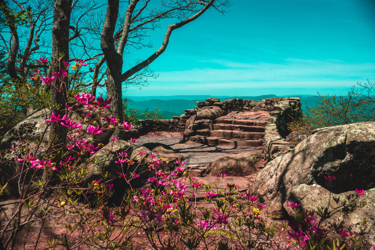 Blue Ridge Parkway - Wildlife | Virginia's Blue Ridge Region, VA