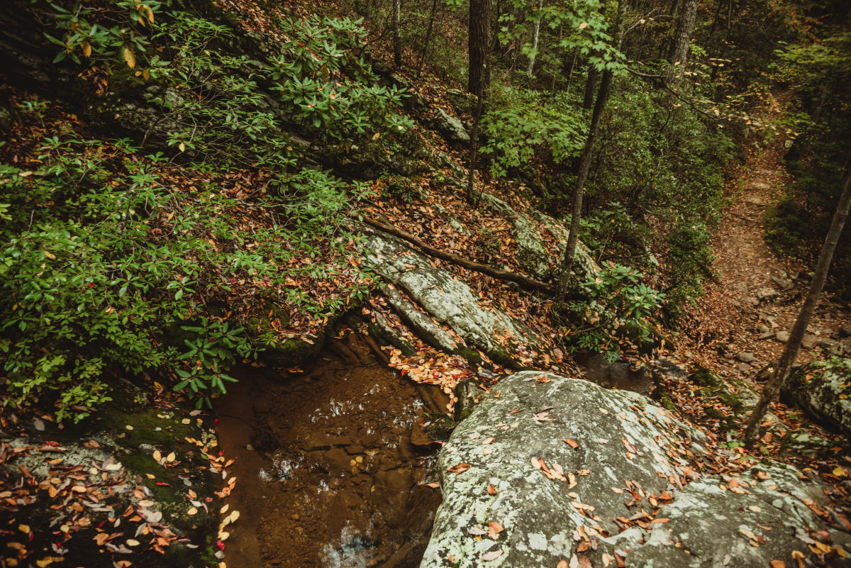 Douthat State Park - Hiking | Millboro, VA 24460