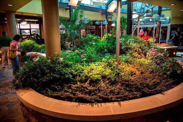 Science Museum of Western Virginia | Roanoke, VA 24011