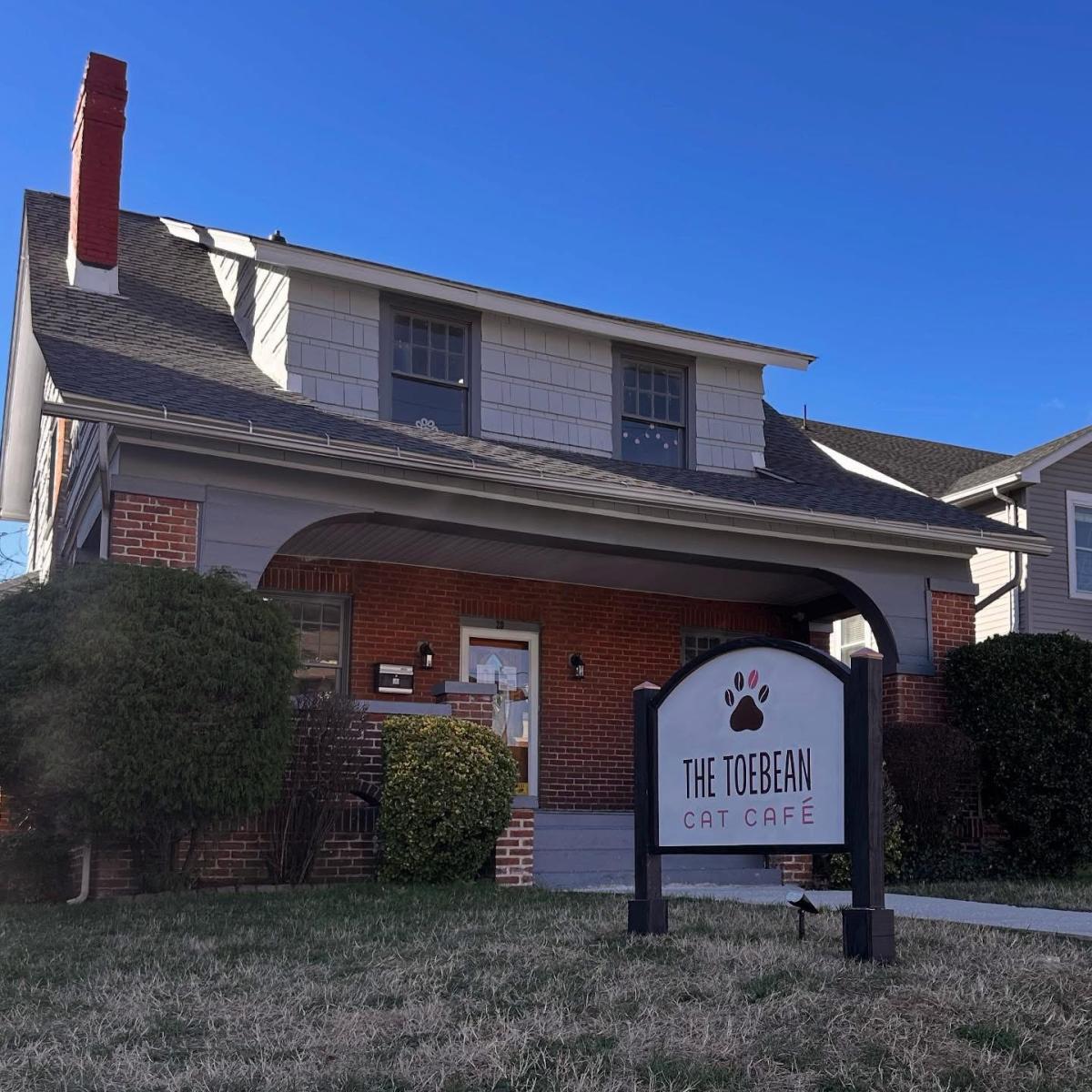 The Toebean Cat Cafe | Roanoke, VA 24016