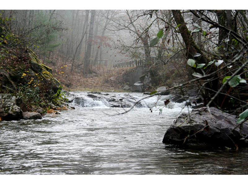 North Creek - Fishing | Arcadia, VA 24066