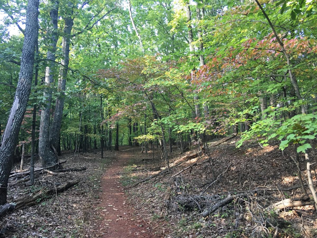 Chestnut Ridge Trail | Roanoke, VA 24014