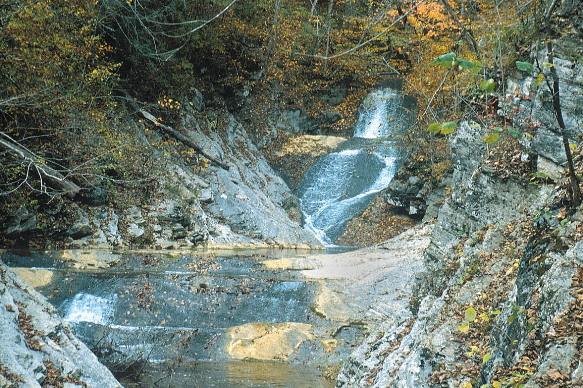 Natural Bridge Historical Hotel - Wildlife | Natural Bridge, VA 24578