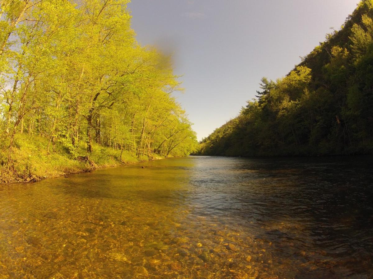 Gala River Front Campground | Eagle Rock, VA 24085