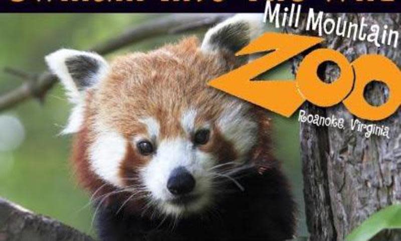 Mill Mountain Zoo | Roanoke, VA 24014