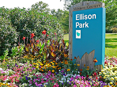 Ellison Park