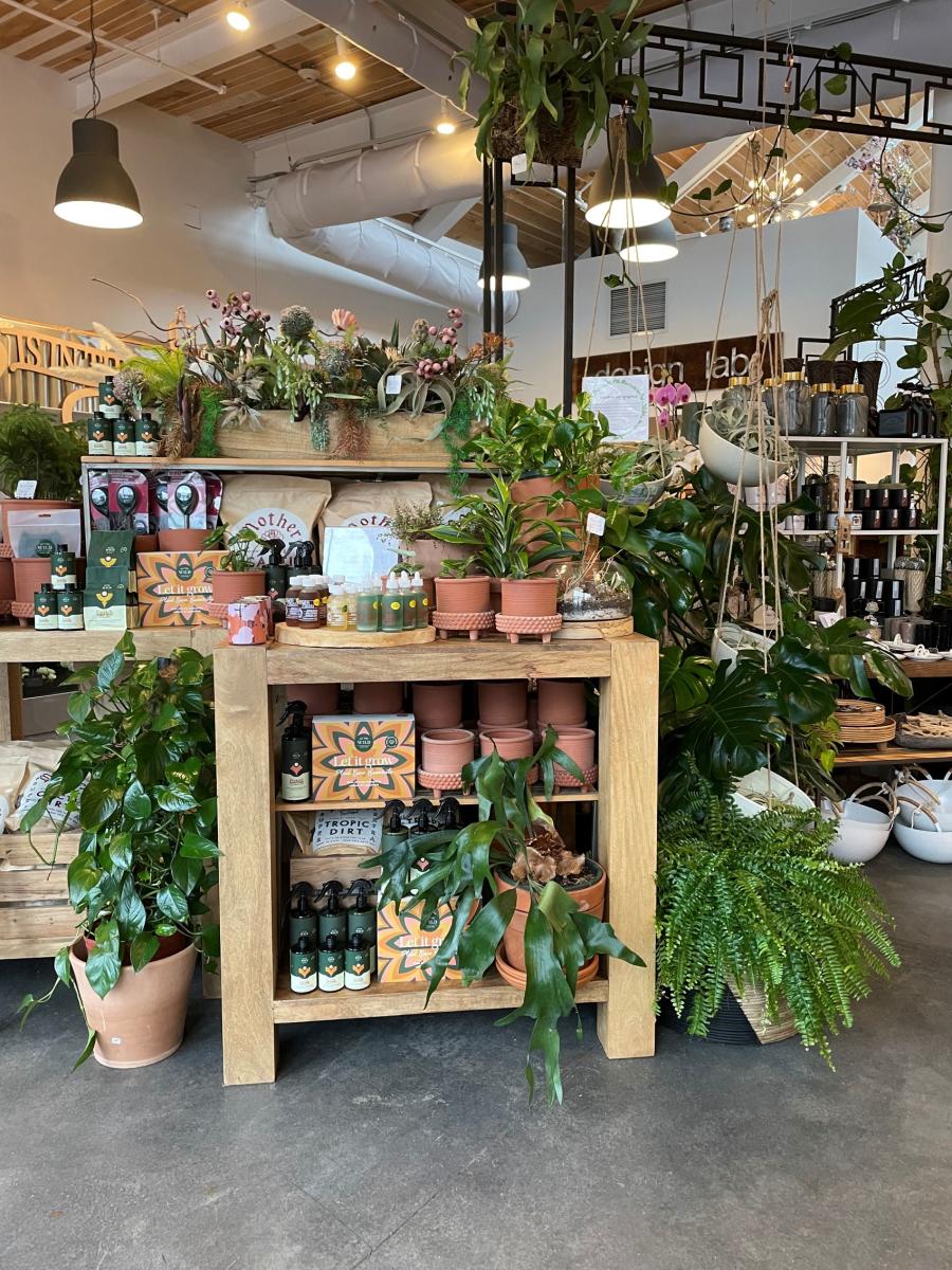 Stacy K Floral & Winter Swan Coffee