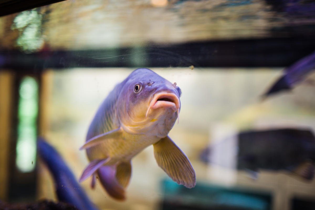 Quarry Hill Nature Center | Rochester, MN 55906