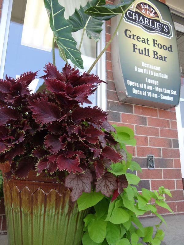 Charlie's Eatery & Pub | Rochester, MN 55901