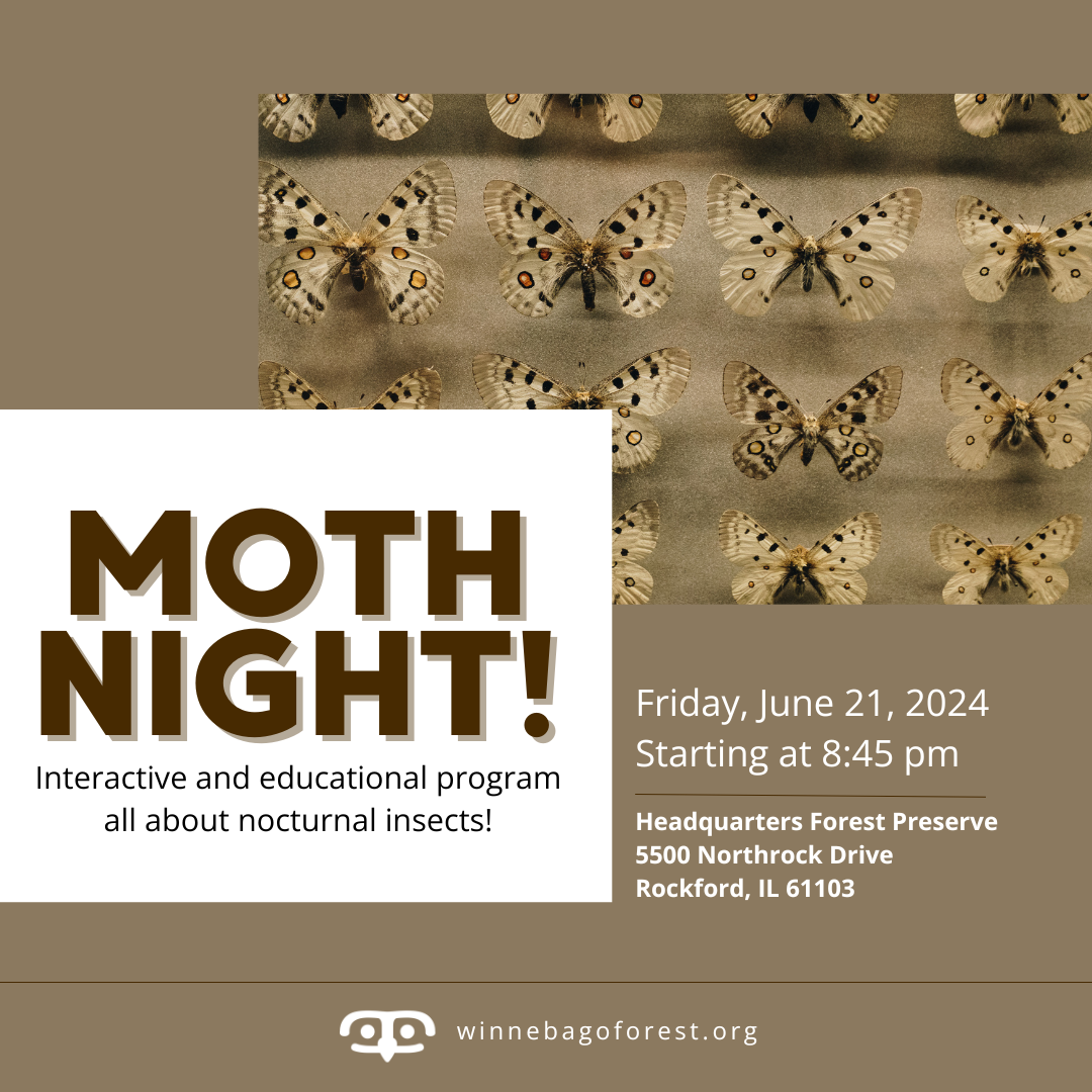 Mexican Muralism Art History Teaching Resources