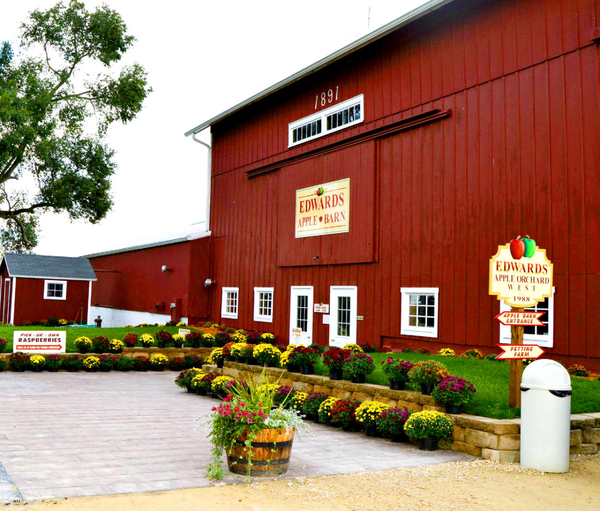 Edwards Apple Orchard West