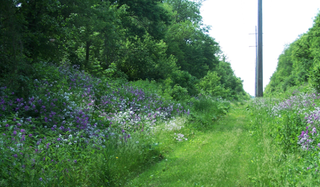 Pecatonica Prairie Path & Bike Trail