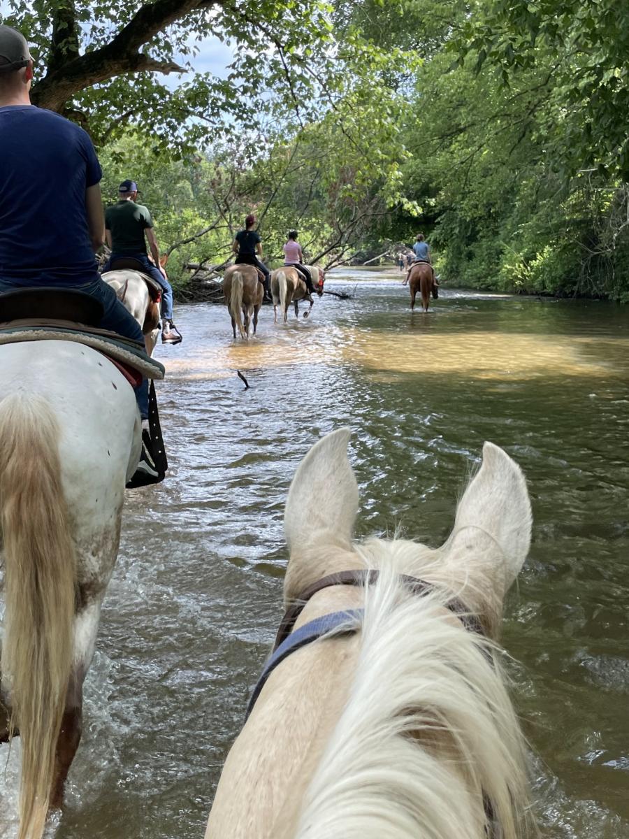 Riverside Riding Stables