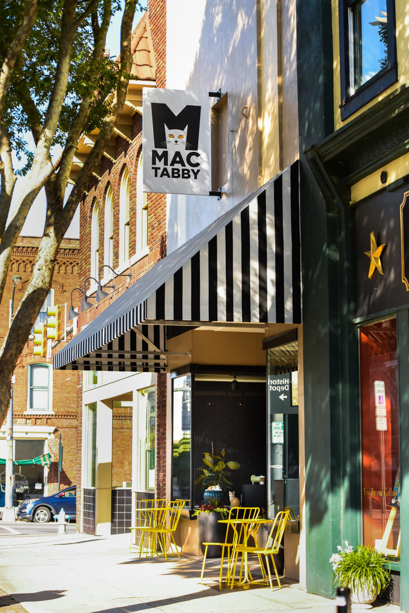 Mac Tabby Cat Cafe