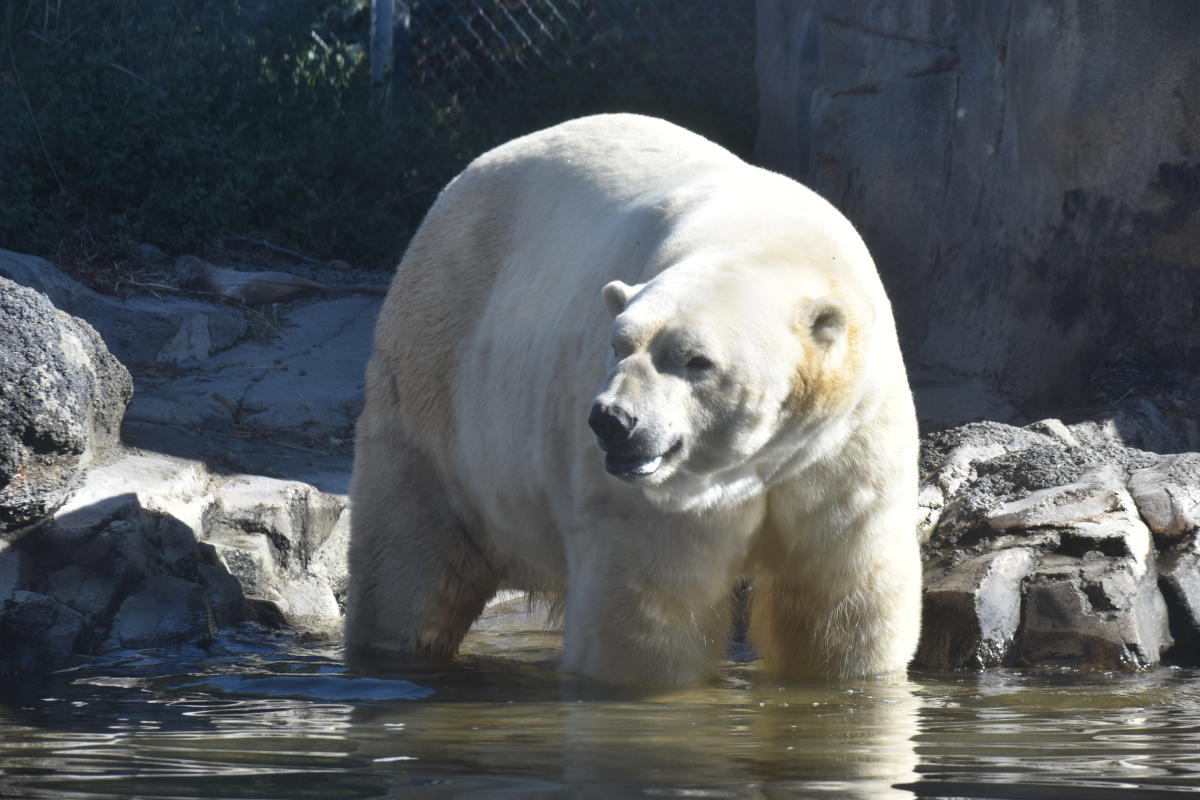 Utah's Hogle Zoo | a Salt Lake Zoos & Gardens Attractions in University ...