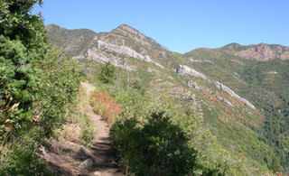 Salt Lake Overlook/Desolation Trail | a Salt Lake Hiking & Biking ...