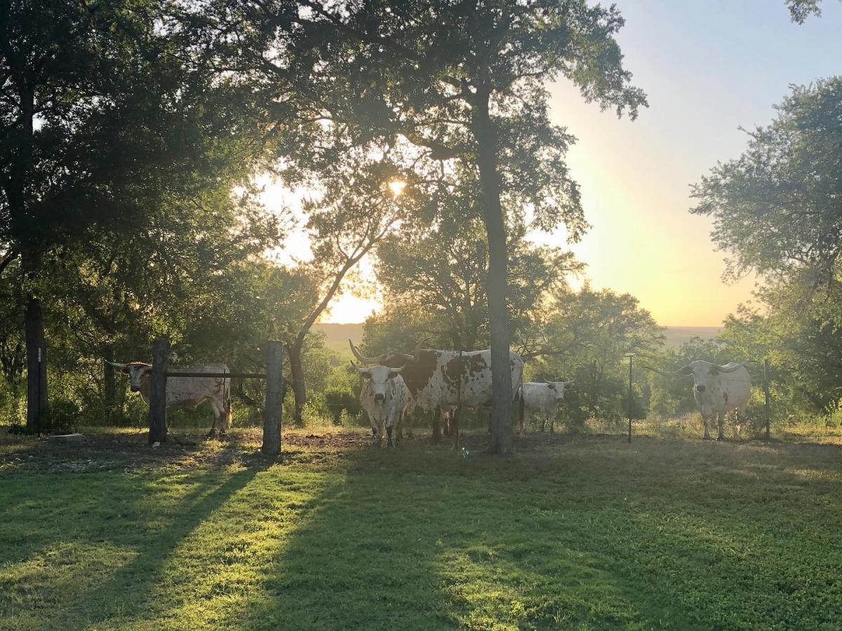 Harper Hill Ranch | Seguin, TX