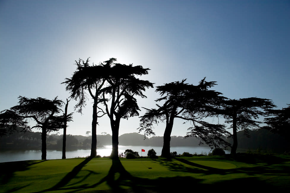 TPC Harding Park