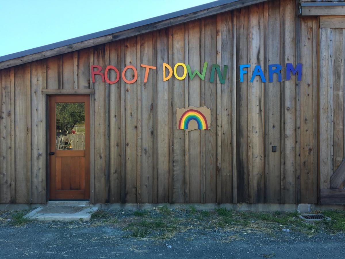 Root Down Farm