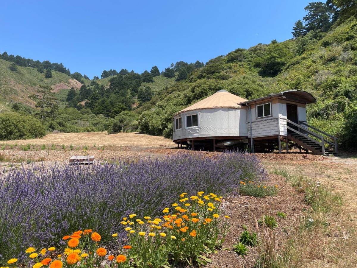 Ananda Valley Farm