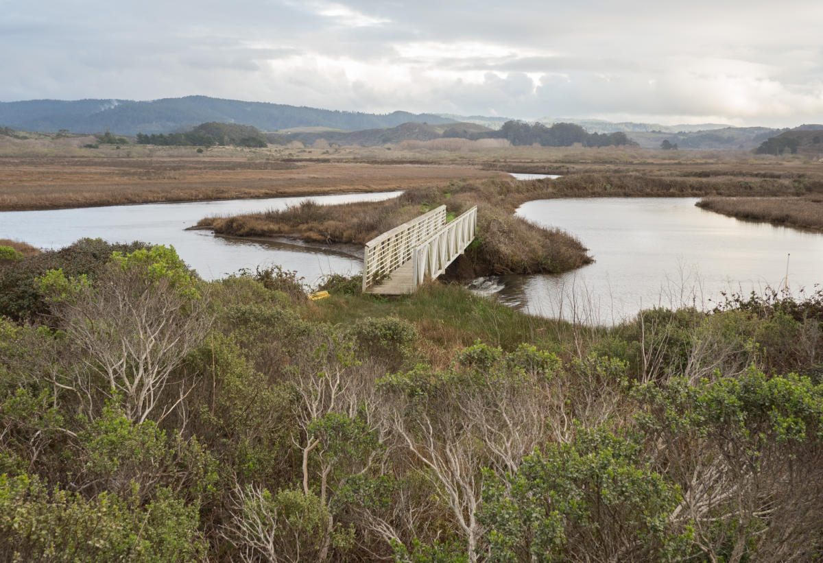 Pescadero Marsh Natural Preserve