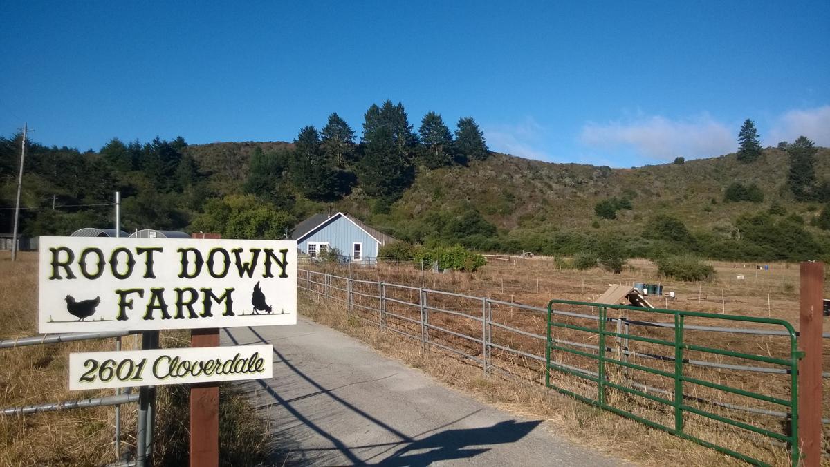 Root Down Farm