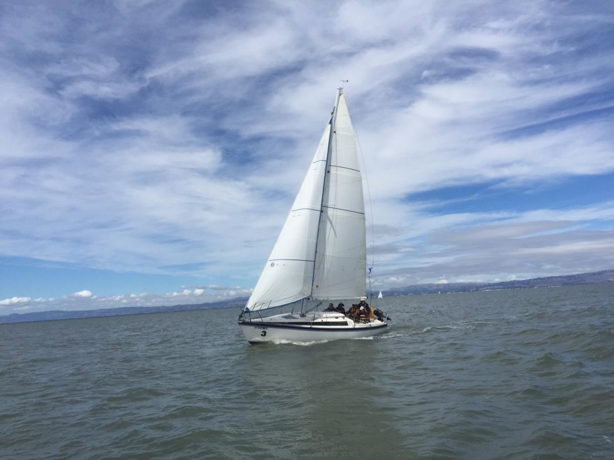 Full Day Sail on San Francisco Bay With Spinnaker Sailing