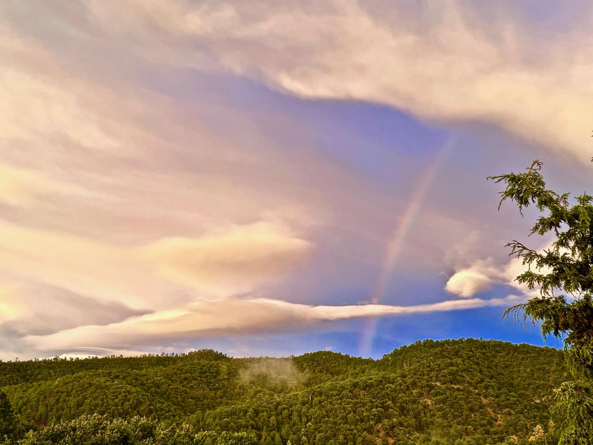 Land of Enchantment Writing