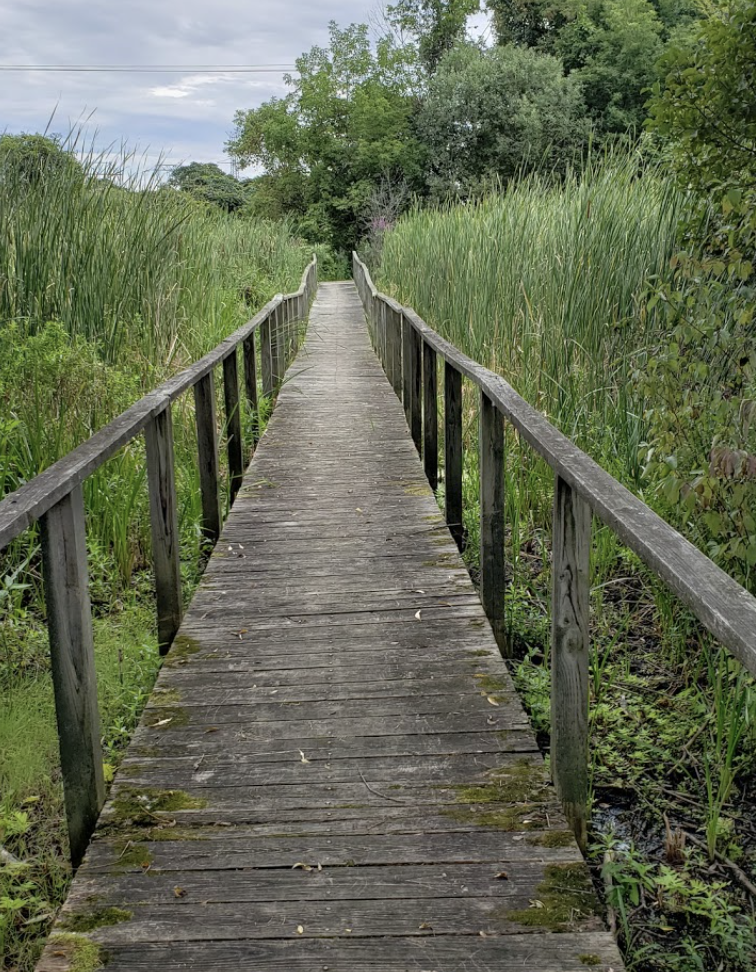 Great Flats Nature Trail