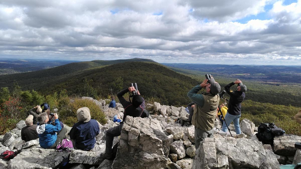 Hawk Mountain Sanctuary