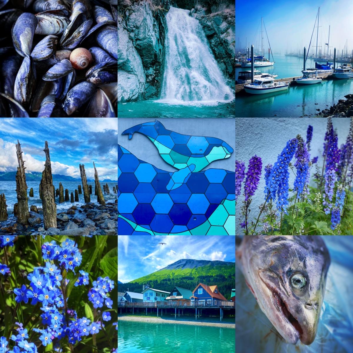 Seward Photo Tours