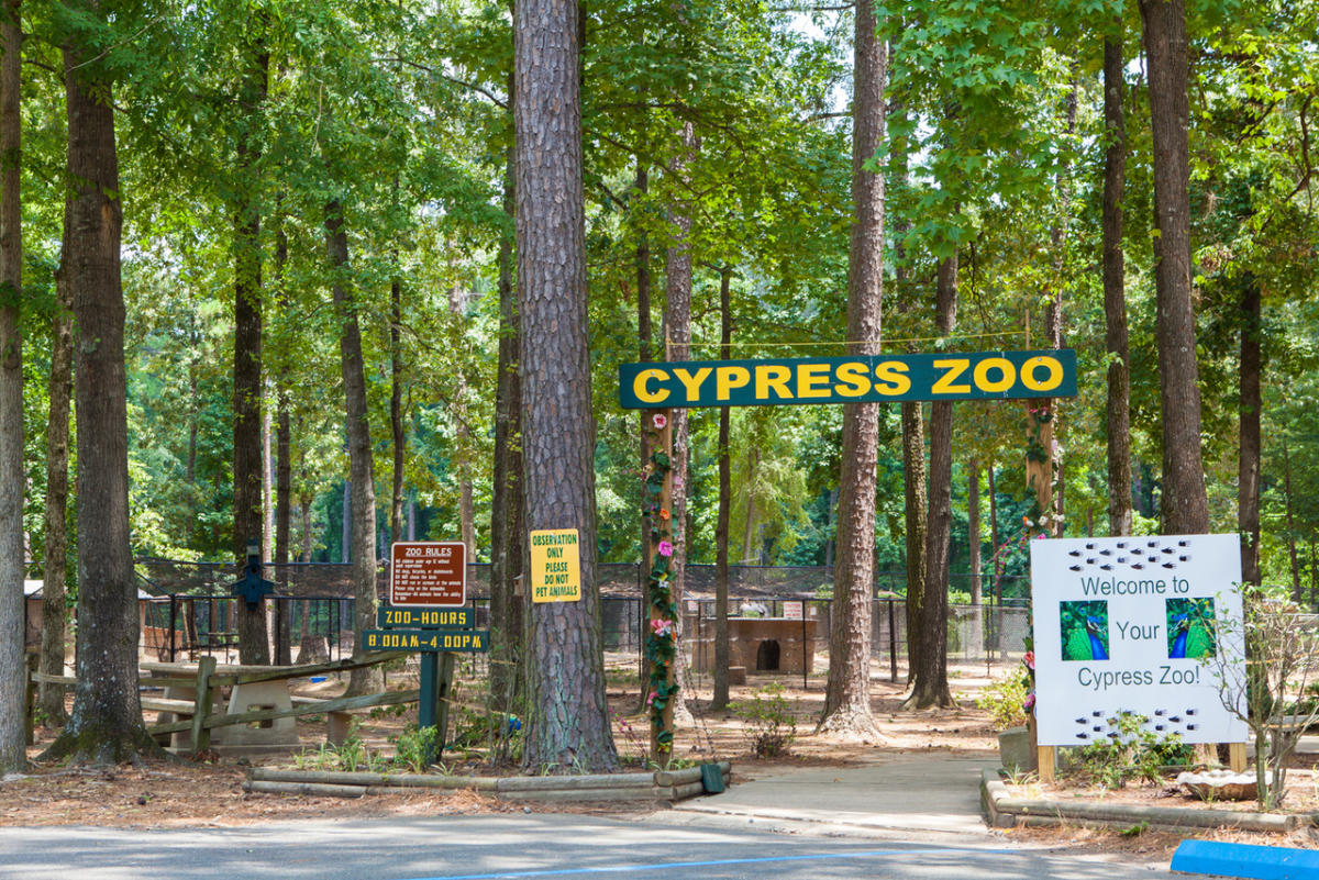 Cypress Zoo