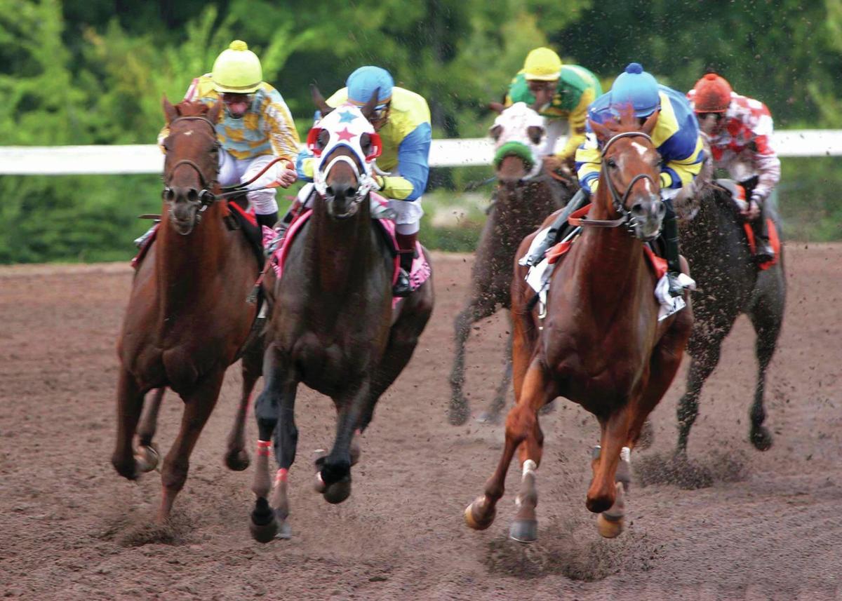 Super Derby Festival of Racing