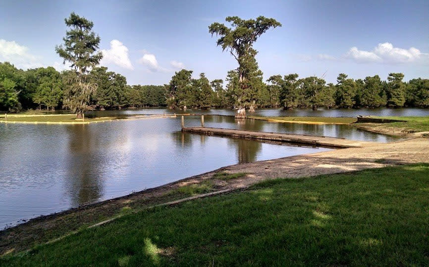 Lake Bistineau State Park