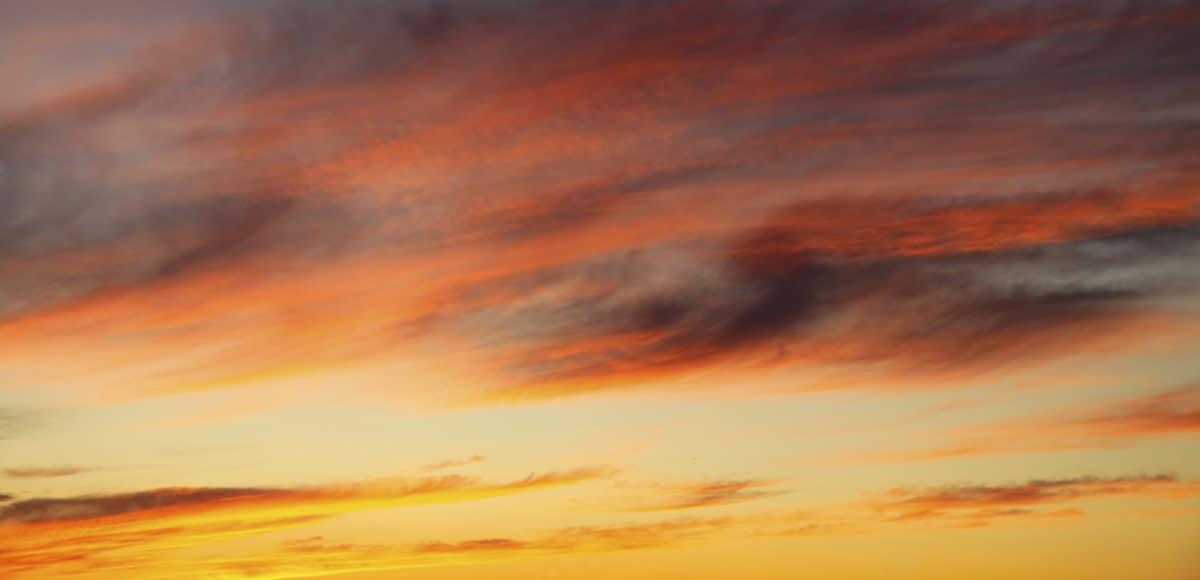 Mimi Nieman Fine Art Gallery | Leland, MI