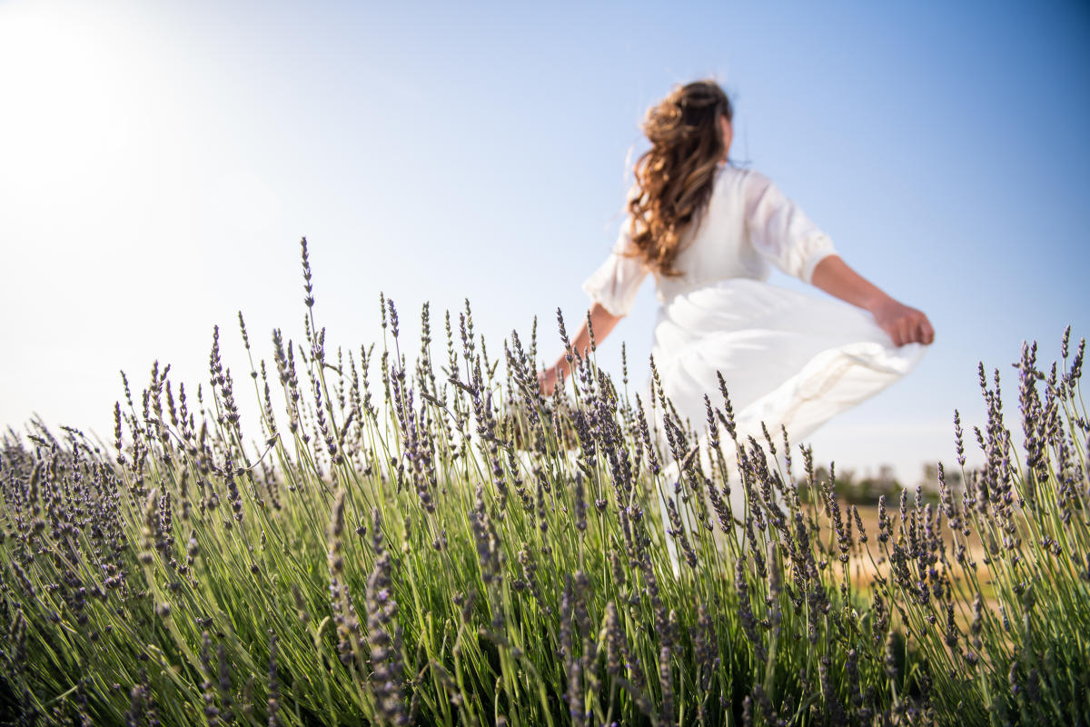 Hambly Lavender Farm | Visit SLO CAL