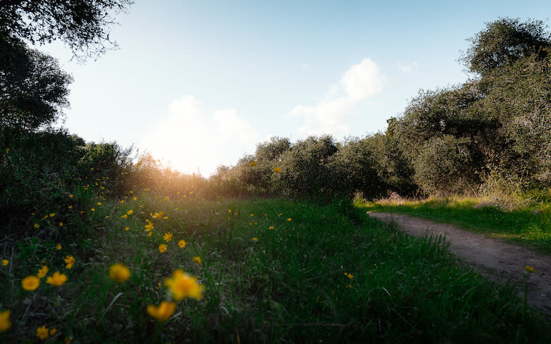 James Way Oak Habitat and Wildlife Preserve