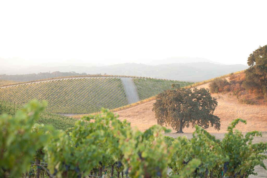 Booker Vineyard & Winery | Visit SLO CAL
